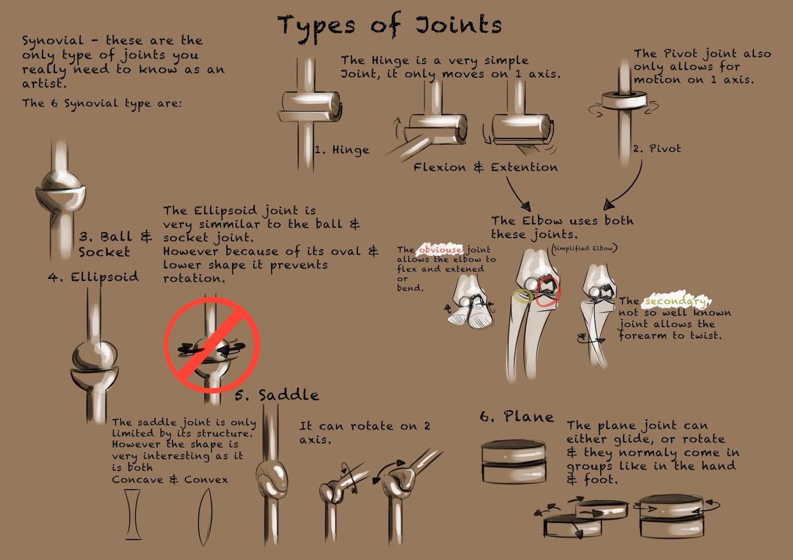AriMotion: Anatomy for the Artist ~ Joints