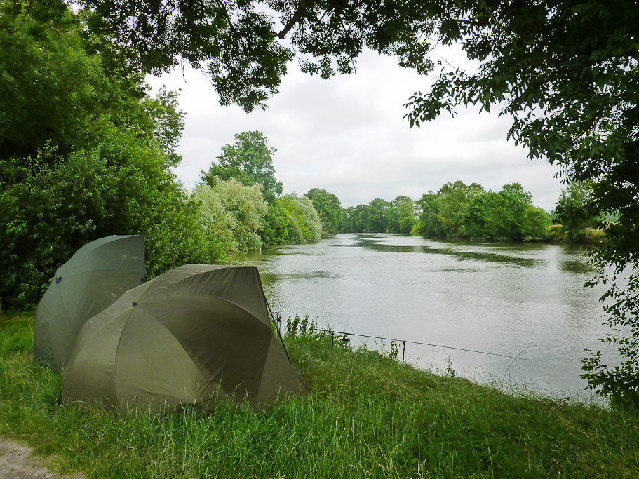 The piscatorial adventures and travels of a self-confessed fishing nut ...