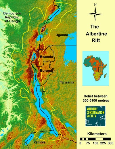 Ros Green - Gingernut Birder
