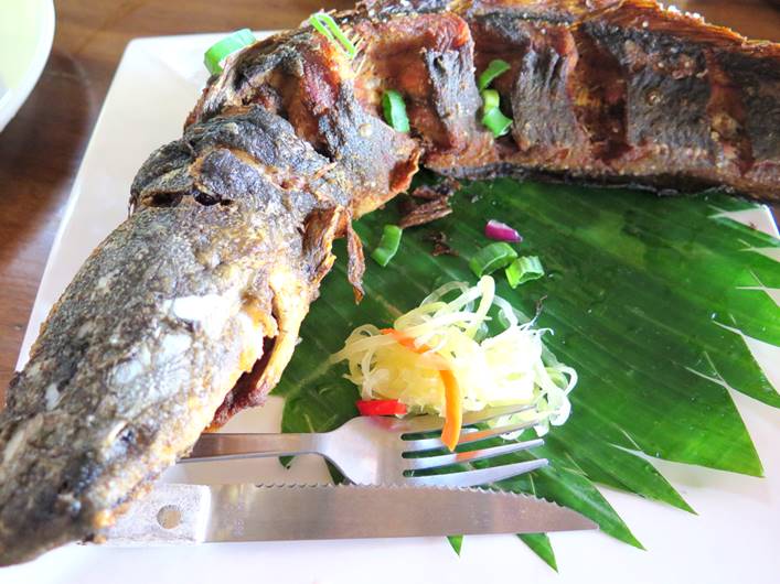 Eye in the Sky: Magic Lagoon Restaurant - Nature and Dining in Subic ...