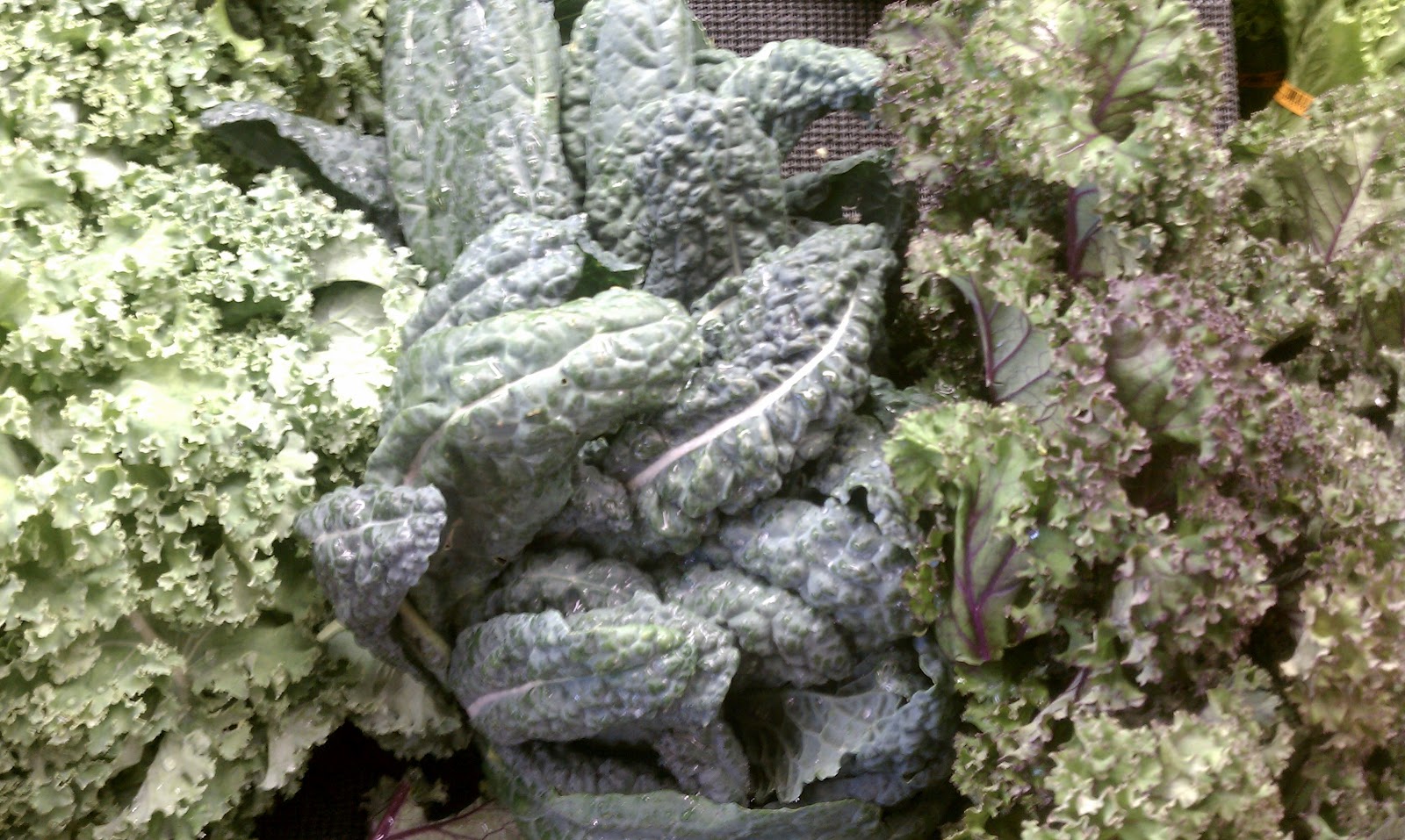 Eat Well: Eat More Kale