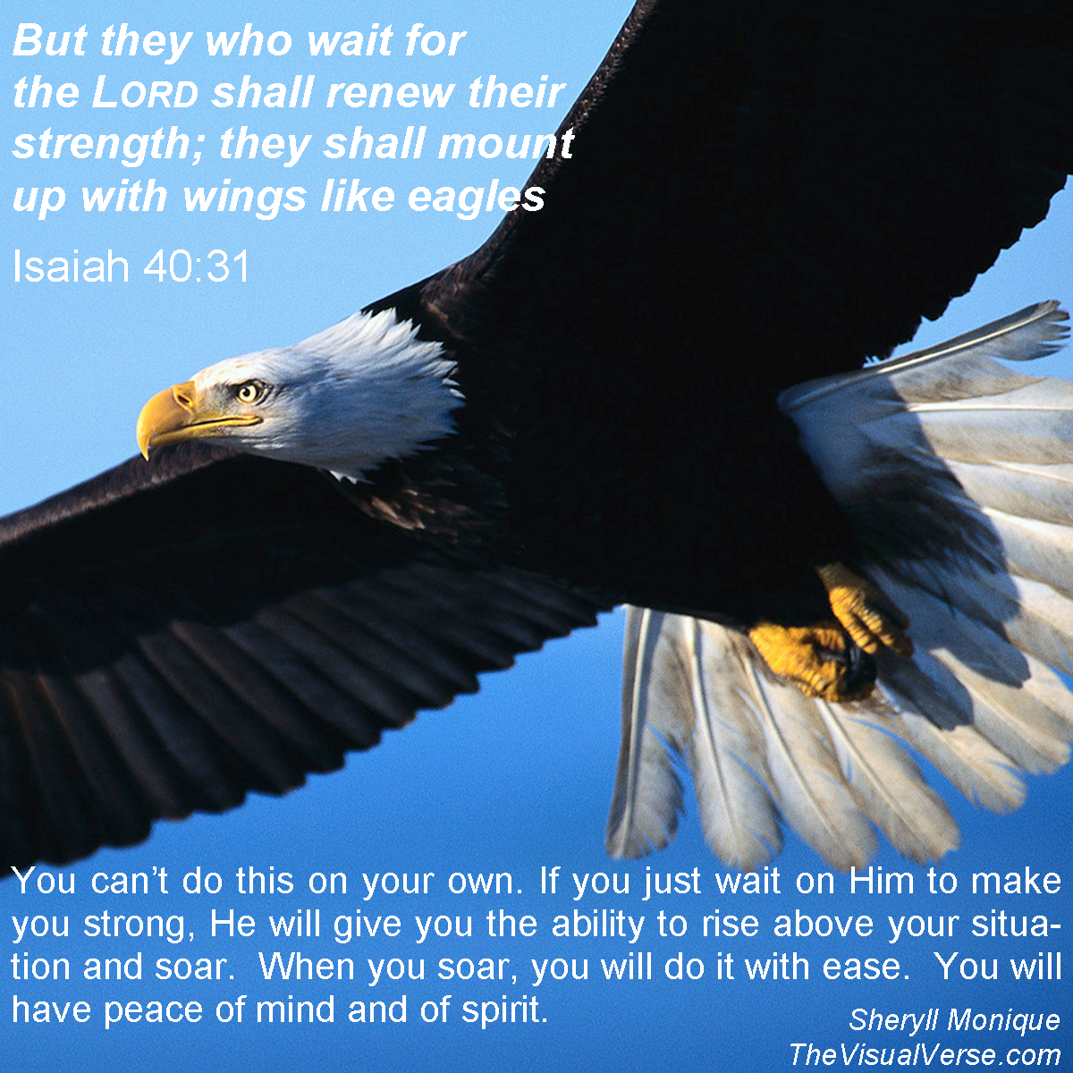 Sheryll Monique: The Visual Verse - Isaiah 40:31