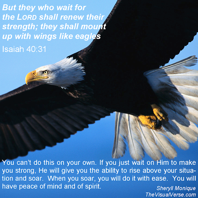 Sheryll Monique: The Visual Verse - Isaiah 40:31