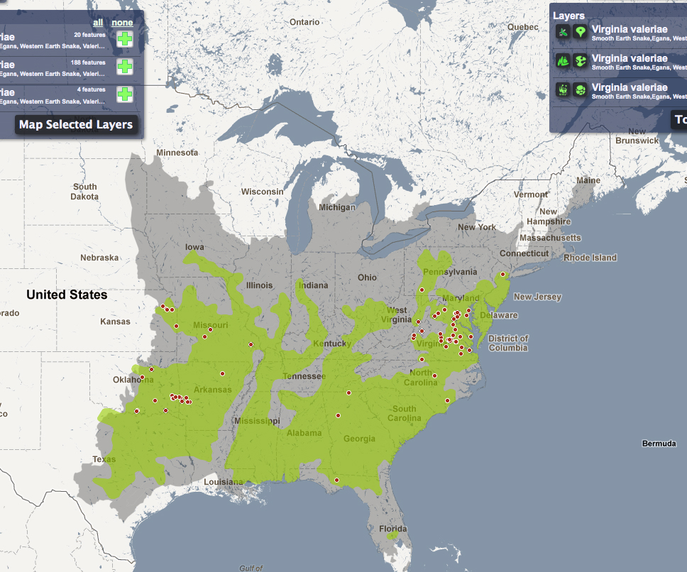 Moss Plants and More: May 2012