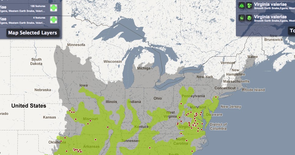 Moss Plants and More: The Map of Life. Mapping mosses next?
