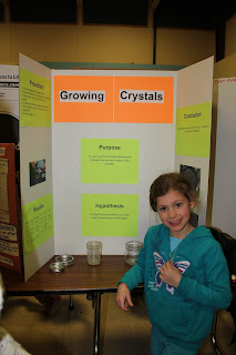 Growing Up Luce: Second Grade Science Fair
