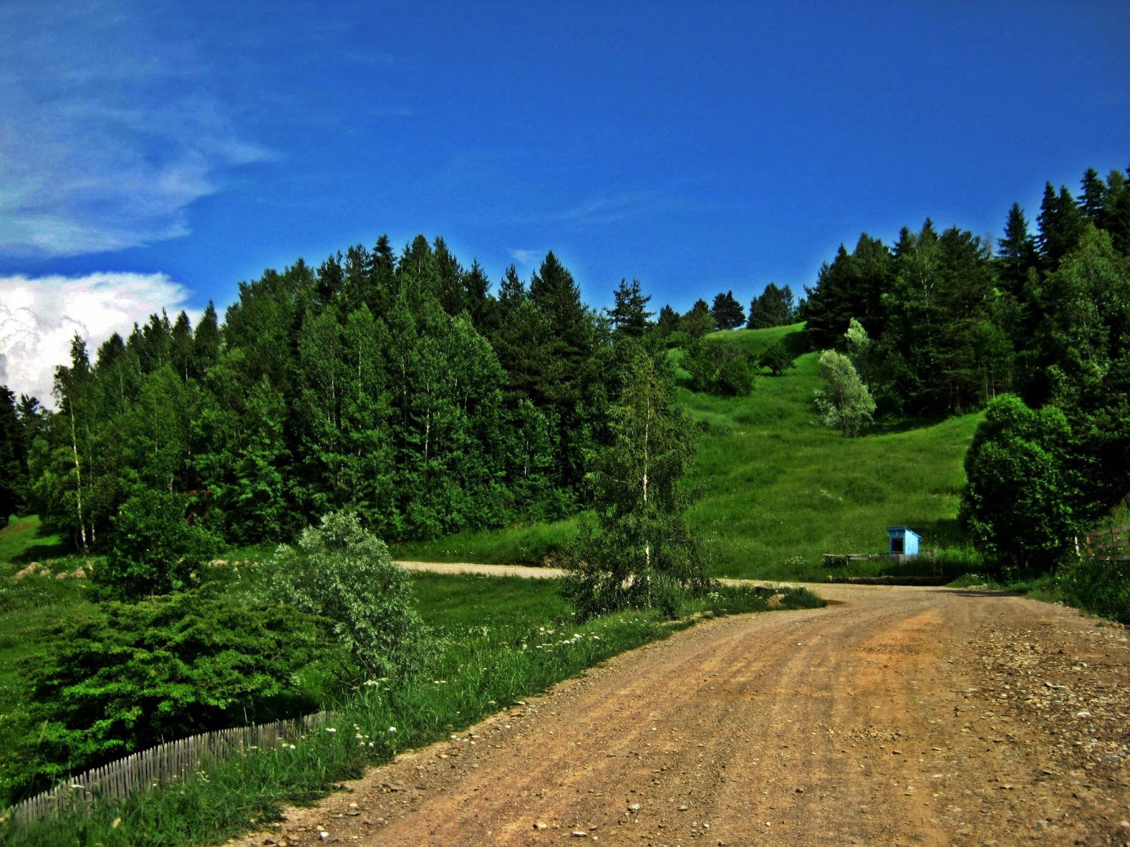 Revistă Şcolară: Verdele de Bisoca