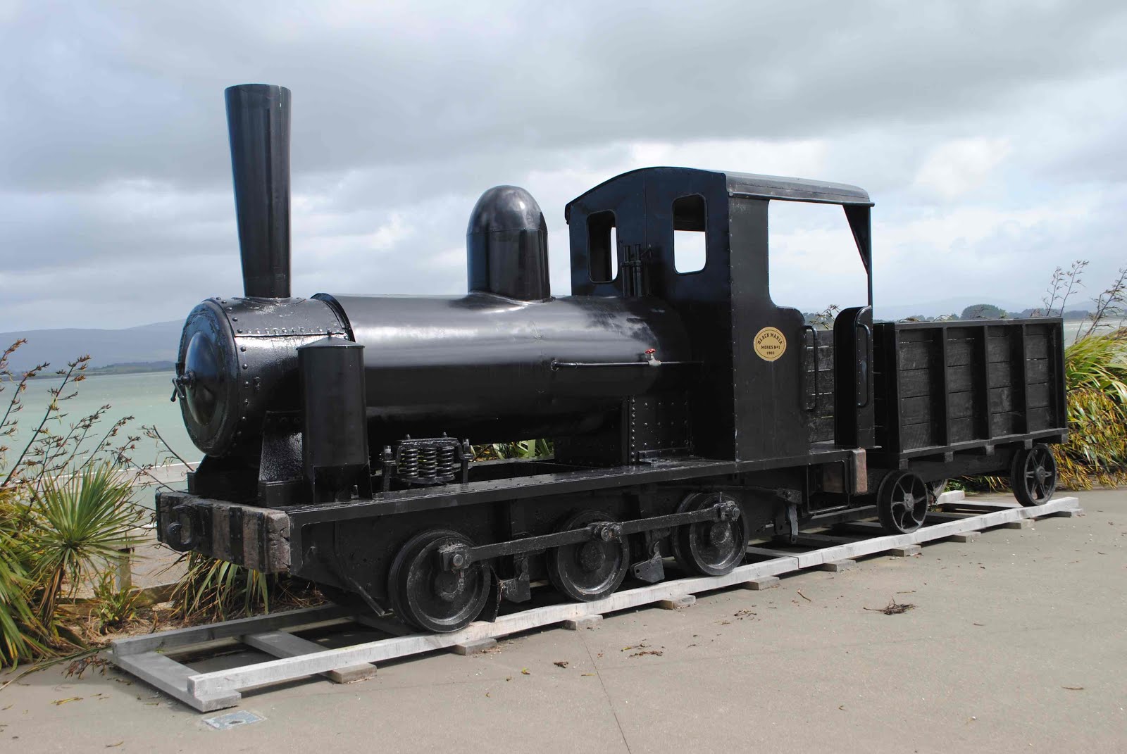 Trainrover: New Zealand January 2015. 1 - Bush steam lokies