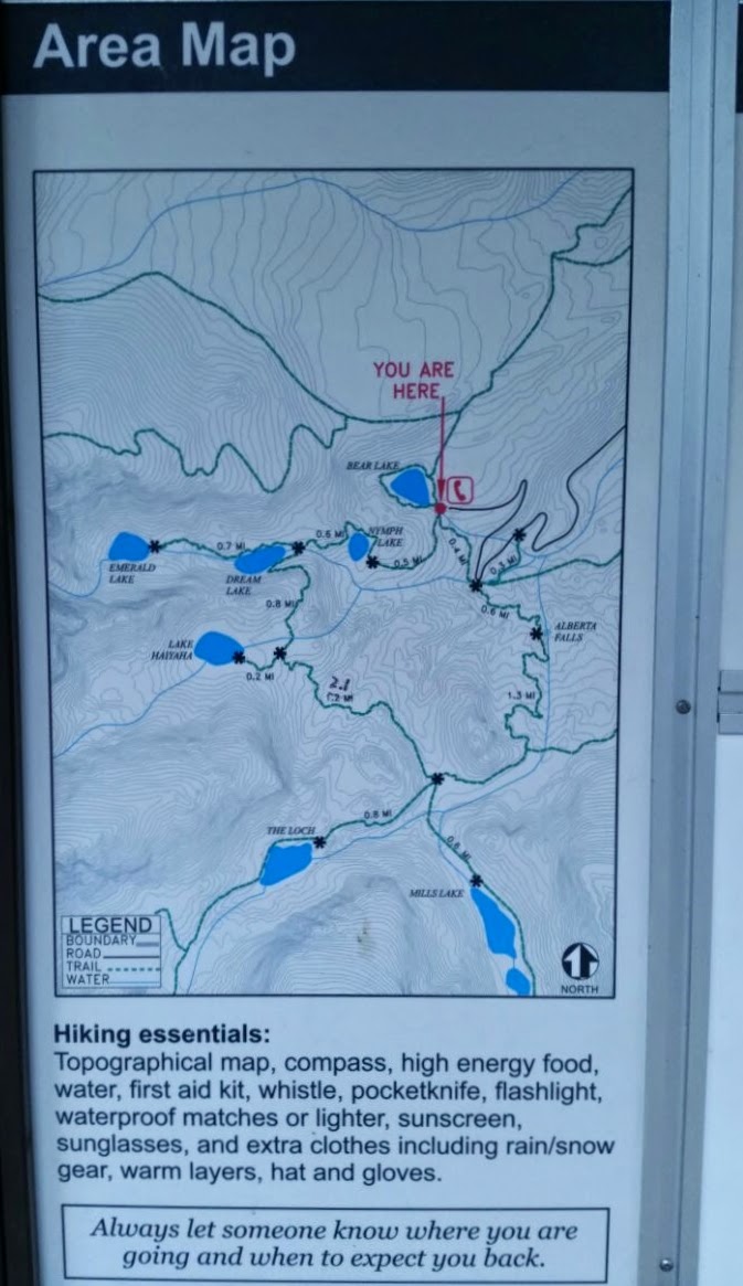 My Hiking Experience : Alberta Falls Trail