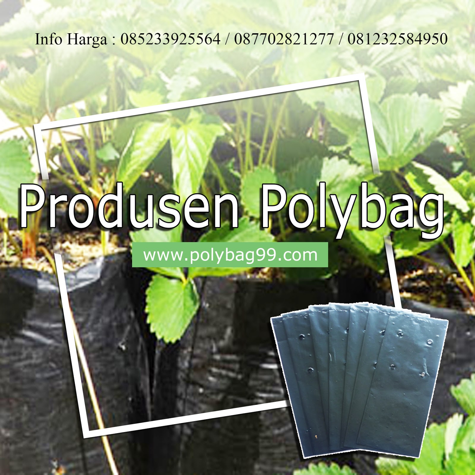 Jenis-Jenis Polybag Tanaman - Jual Polybag Murah