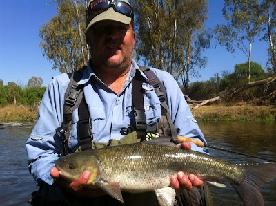 Flies2Fish: A Big Fish Day