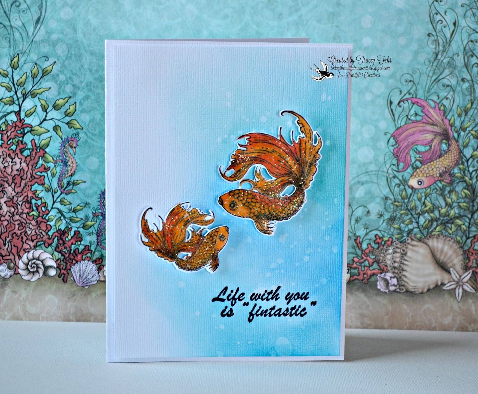 Fintastic Life... - Today's Beautiful Moments...Tomorrow's Beautiful ...