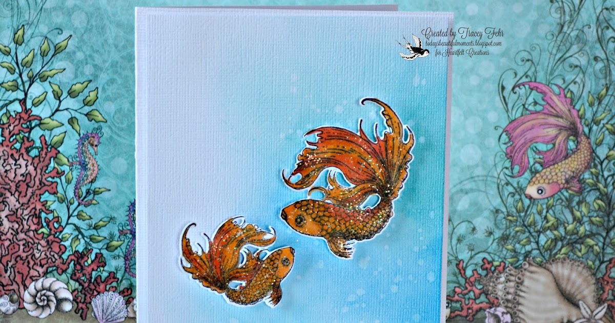 Fintastic Life... - Today's Beautiful Moments...Tomorrow's Beautiful ...