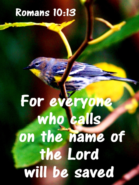 Everyone who calls on the name of the Lord will be saved