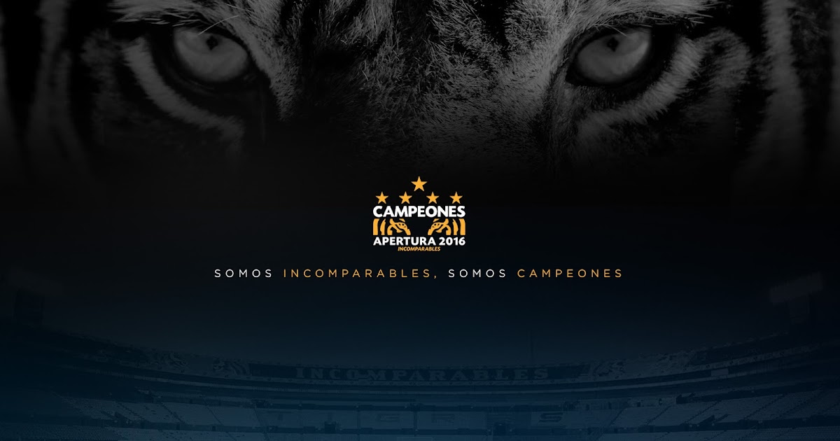 Calendario Tigres UANL- Liga MX/Concachampions