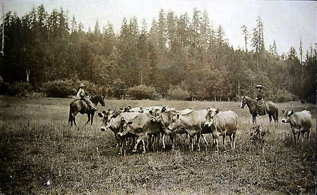The American Cowboy Chronicles: Rural Life In 1870s Oregon