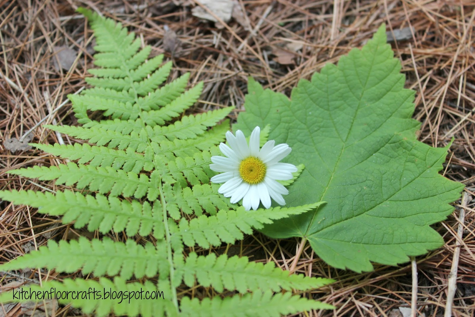 Kitchen Floor Crafts: 4 Ways to Explore Symmetry at Home