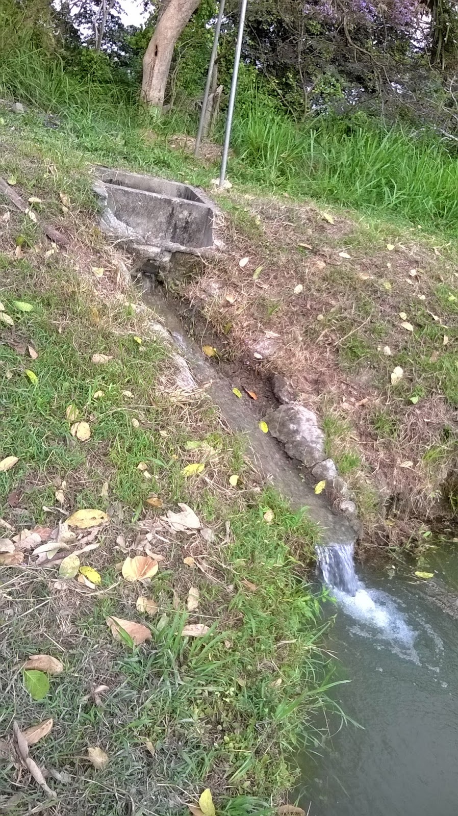 MONOCULTIVO DE CACHAMA (Colossoma sp) ~ ACUICULTURA CÓRDOBA