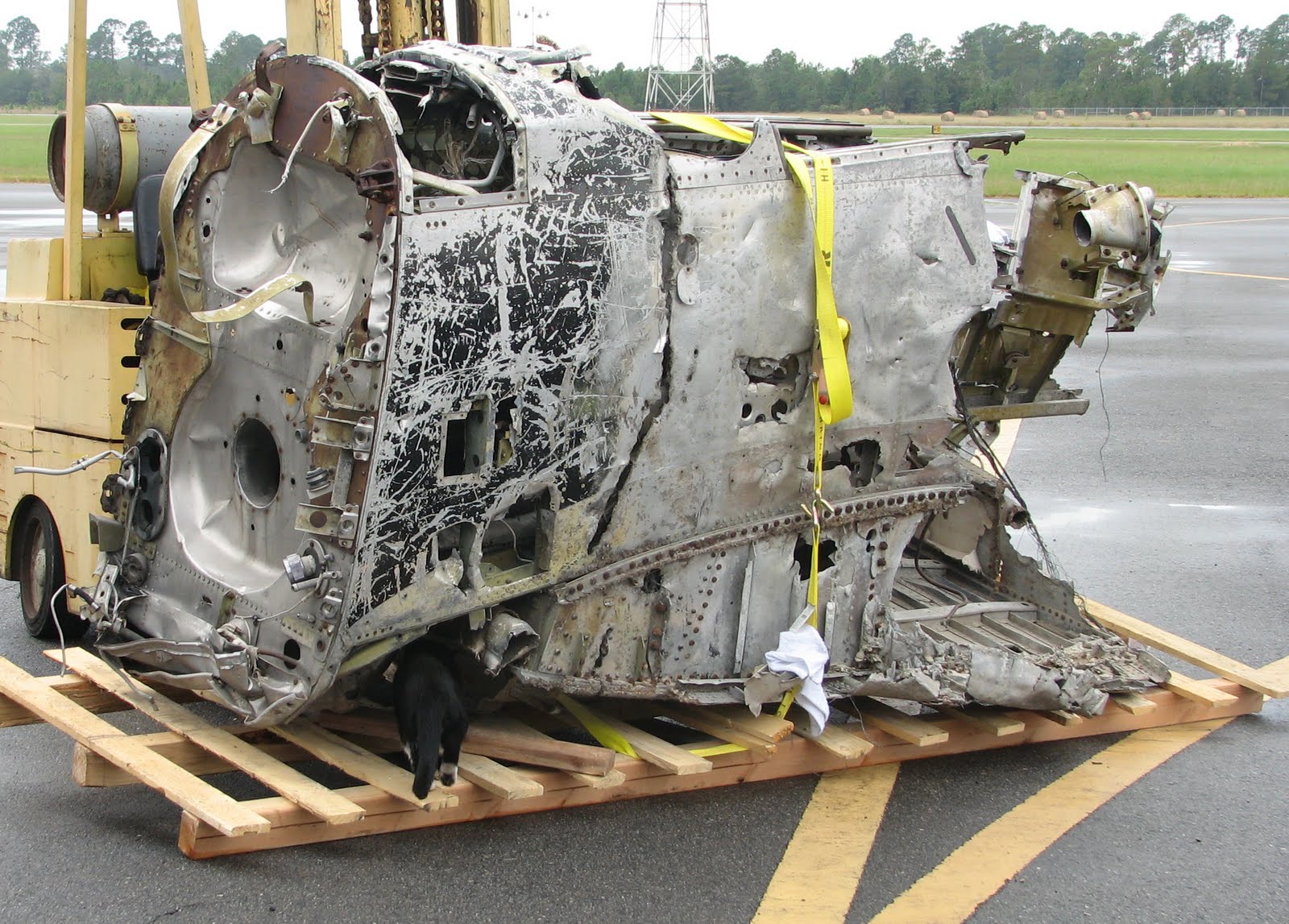 XP-82 Twin Mustang Project: Right-Hand Fuselage