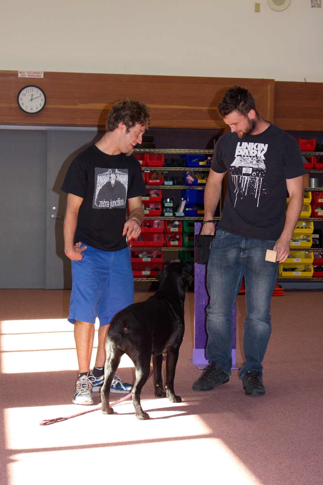 FRiSKY FiTNESS: The fit will survive...the frisky fit will thrive!: The ...