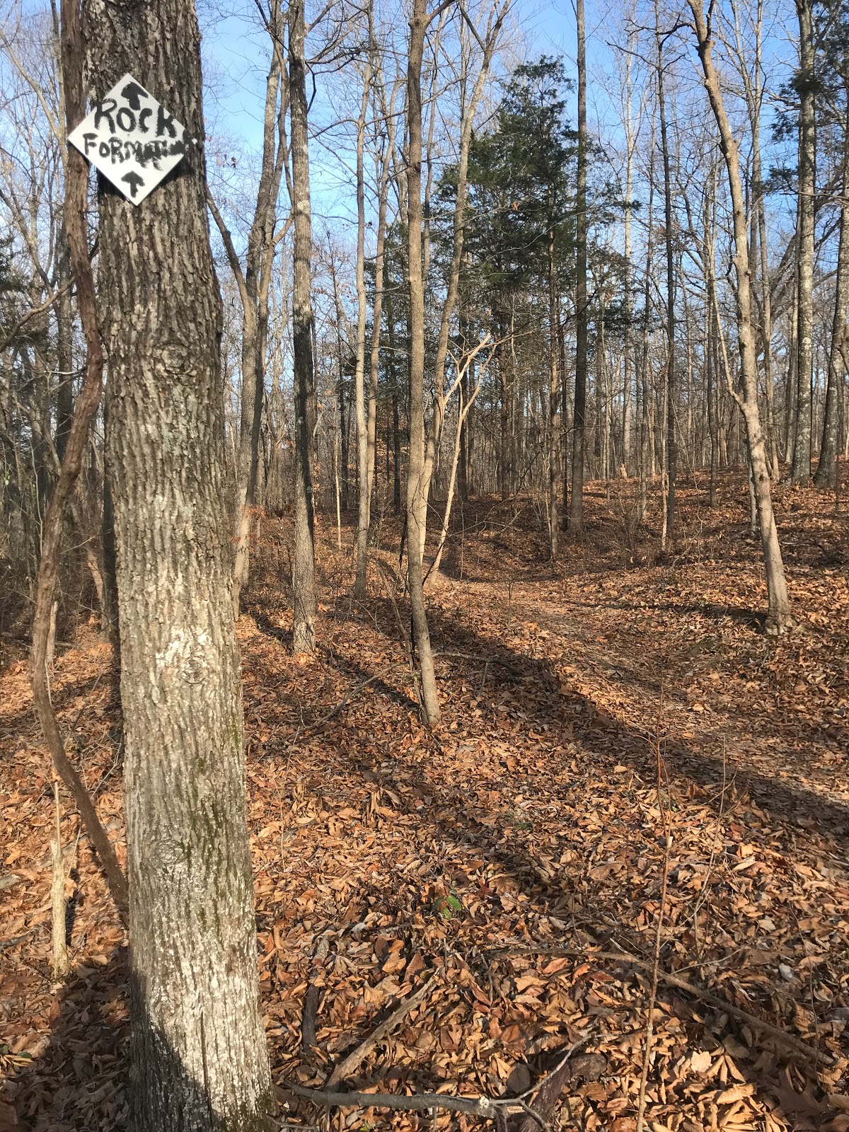 Illinois Botanizer: River to River Trail across southern Illinois Day 8 ...