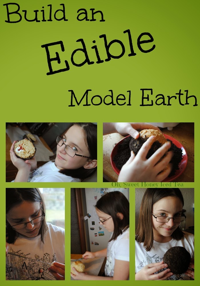 Oh, Sweet Honey Iced Tea!: Edible Model Earth