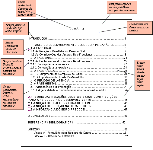 SEMINÁRIO INTEGRADO: DICAS PARA A ELABORAÇÃO DO RELATÓRIO