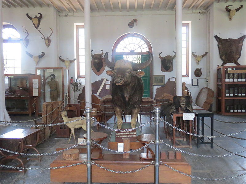 Tamilnadu Tourism: Gass Forest Museum, Coimbatore