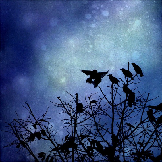 Ophelia's Adornments blog: Moonlight Photography