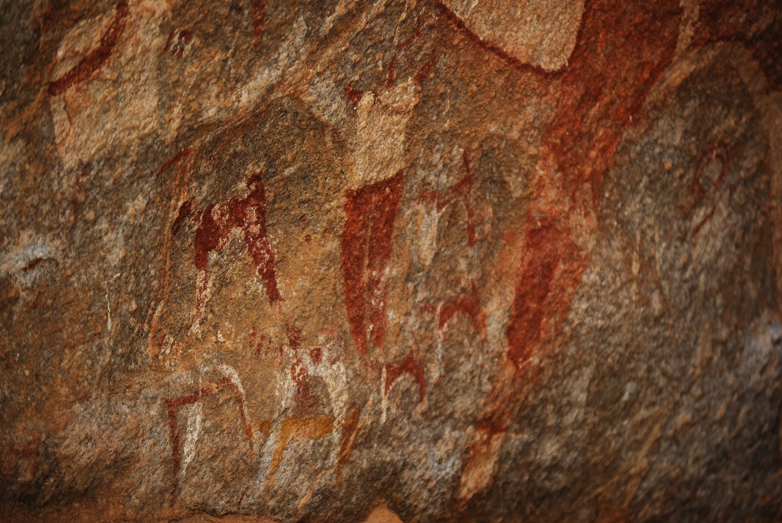 Visiting Somaliland: Laas Geel - The place where camels are watered