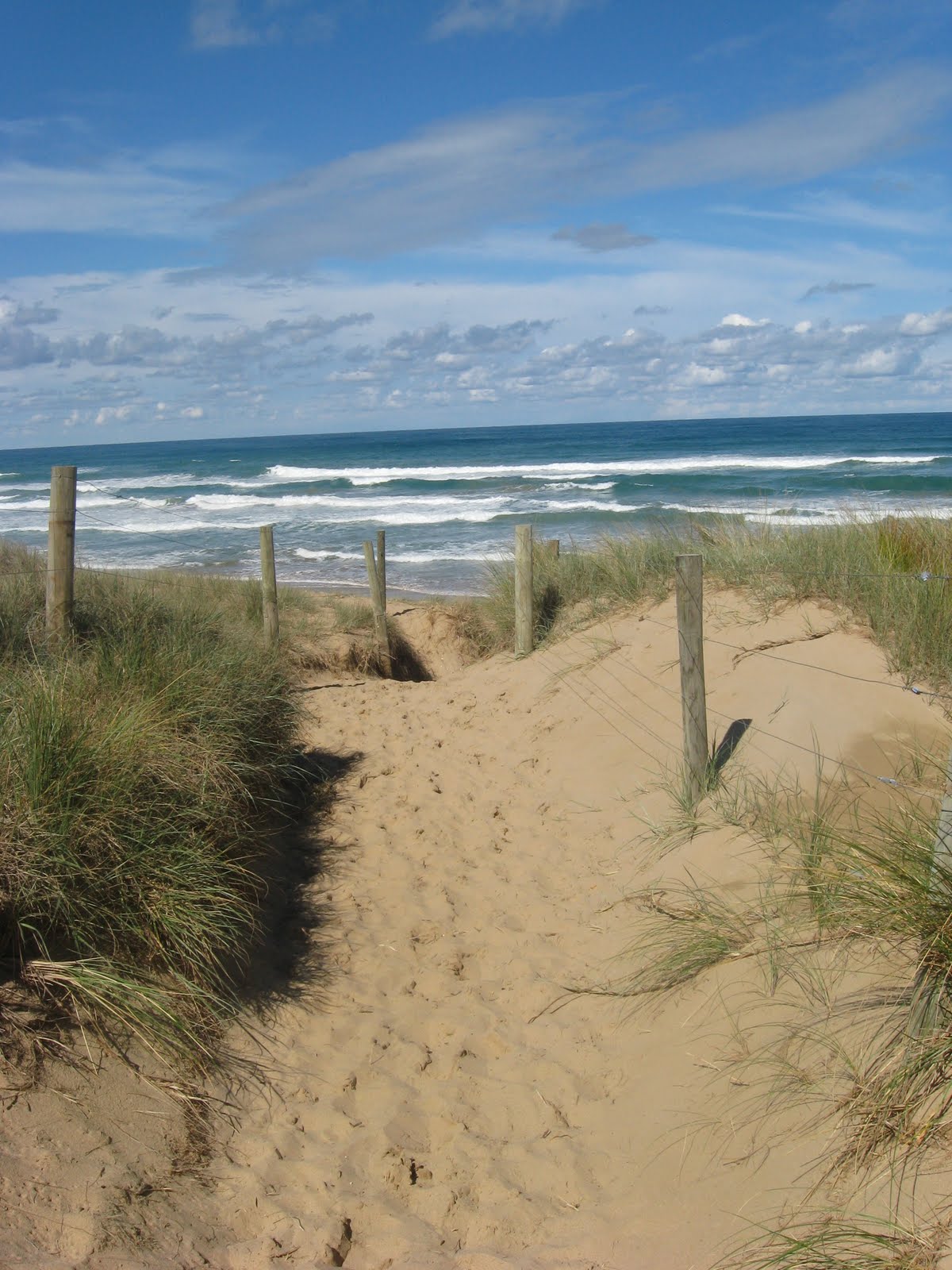 A year in Australia: Road Trip- week 1