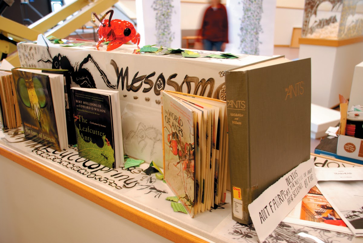 Ant Girls : Atrium Gallery Installation complete!