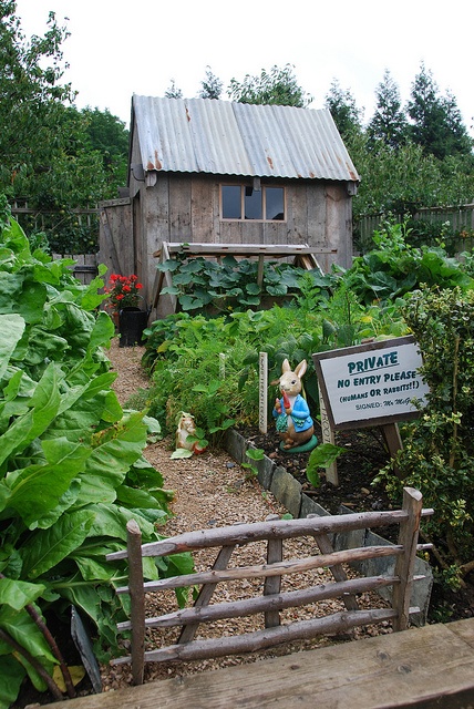 Content in a Cottage: Vegetable Garden with Shed