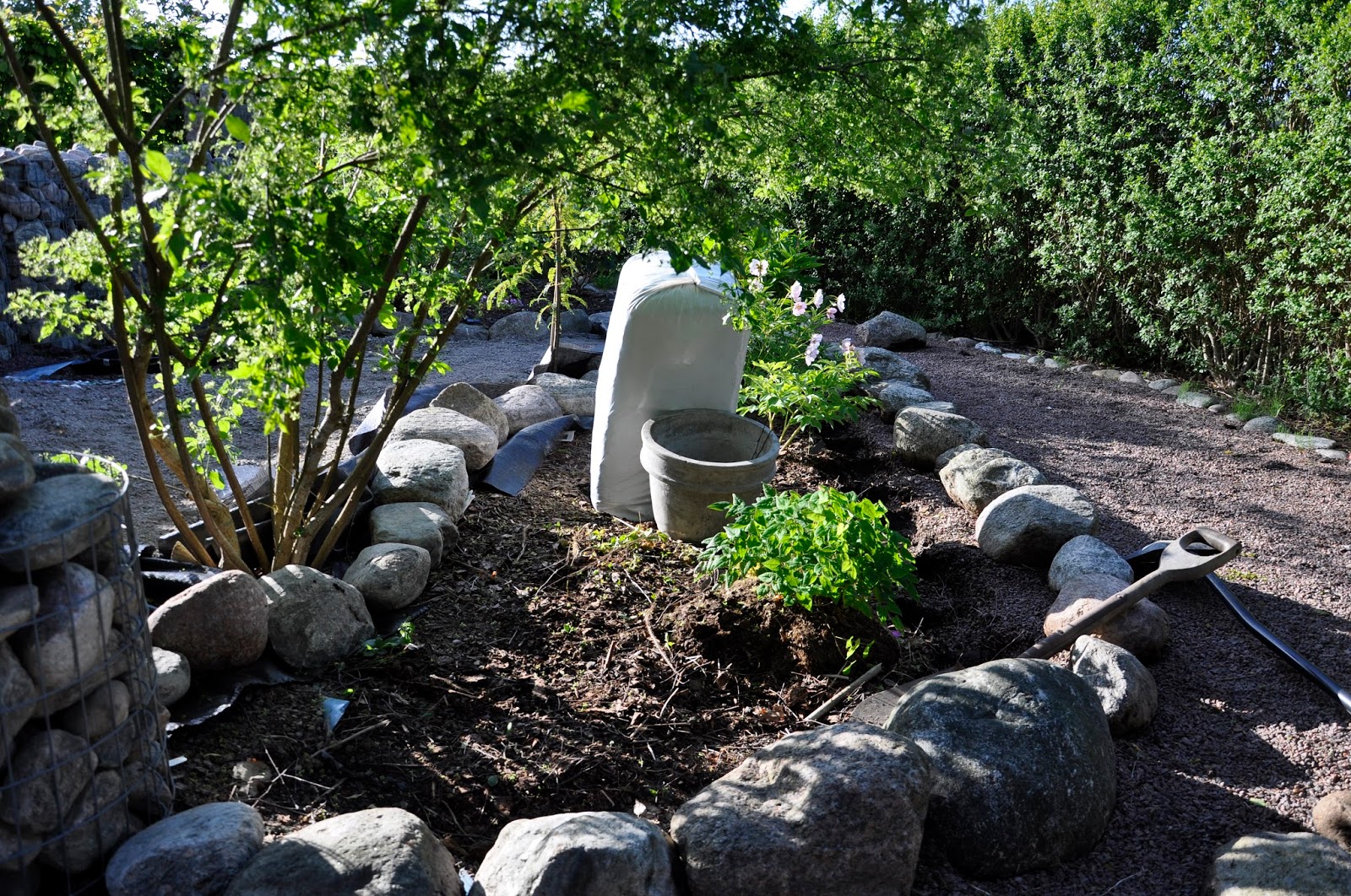 Alen Trädgård: Bakom muren eller The Green room!