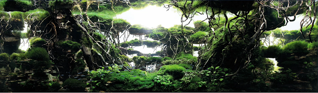 Betta Splendens: IAPLC 2015: Résultats, Classements, Photos, TOP 127