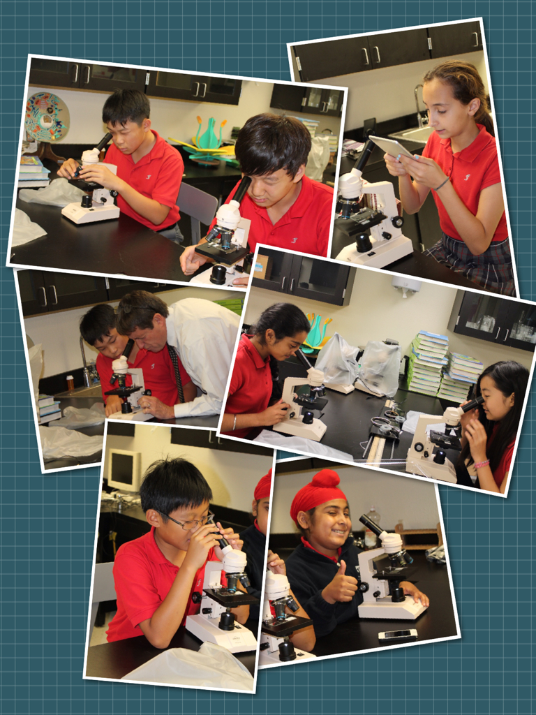 Fairmont Blog: FRIDAY FOLDER august 30