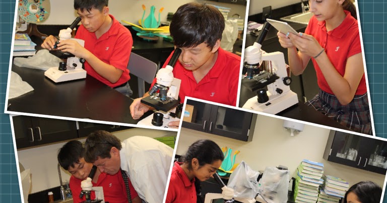 Fairmont Blog: FRIDAY FOLDER august 30