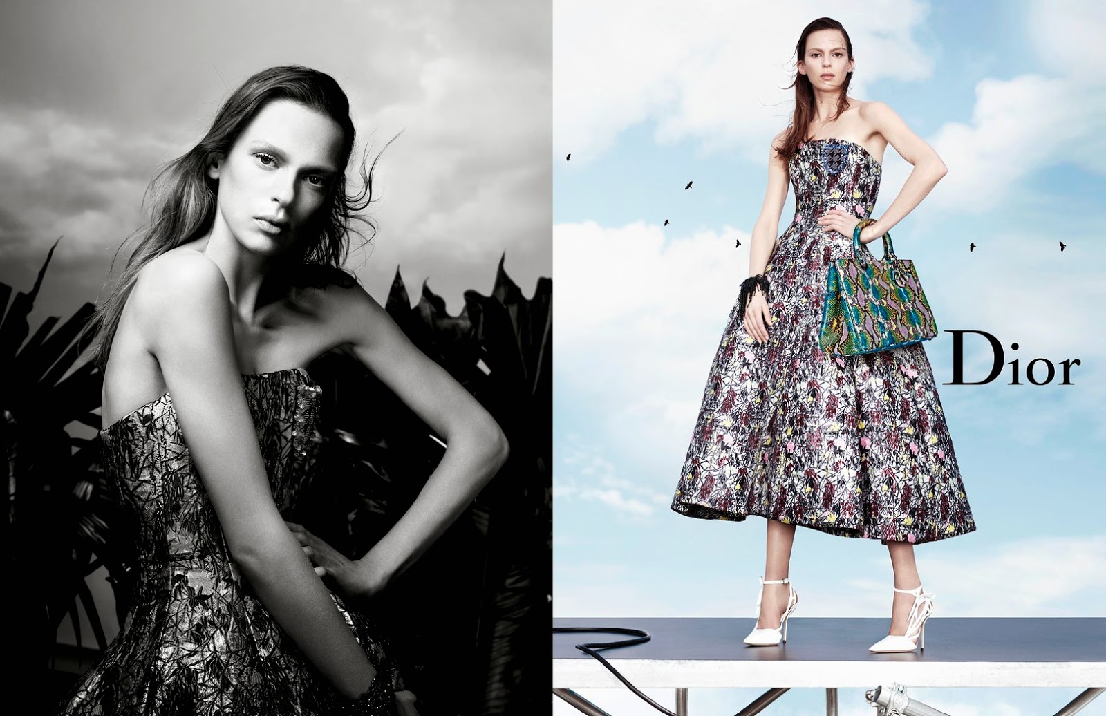 Ad Campaign: Christian Dior Spring/Summer 2014: Elise Crombez, Julia ...