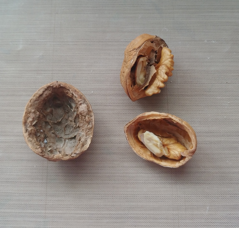 Miniature Scenes from Walnut Shells - Little Vintage Cottage