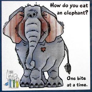 Kay and Bear's Blessing Blog: Eating the elephant.. one bite at a time!!