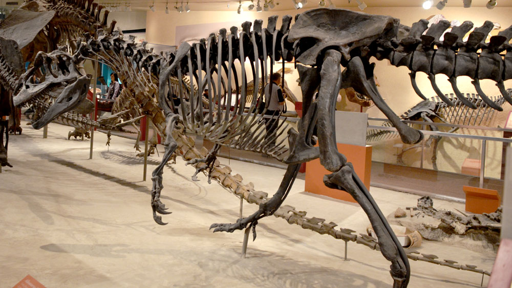 Destinations: Dinosaurs at the Smithsonian