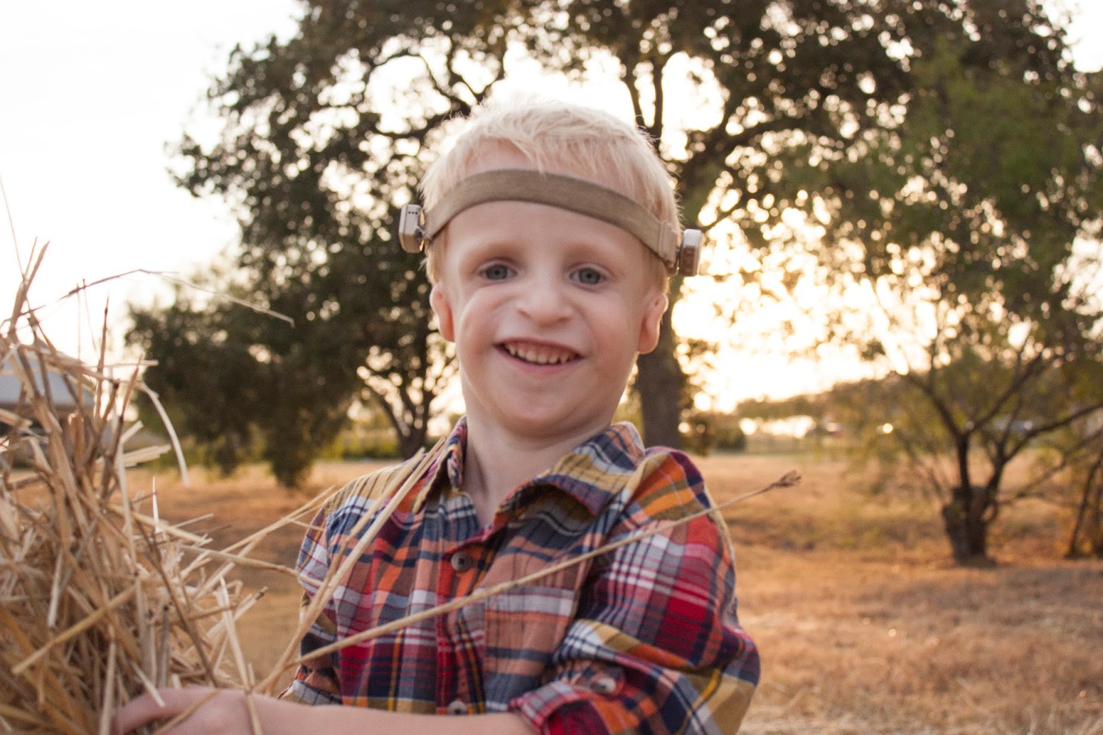 Auggie's Adventures: October 2015