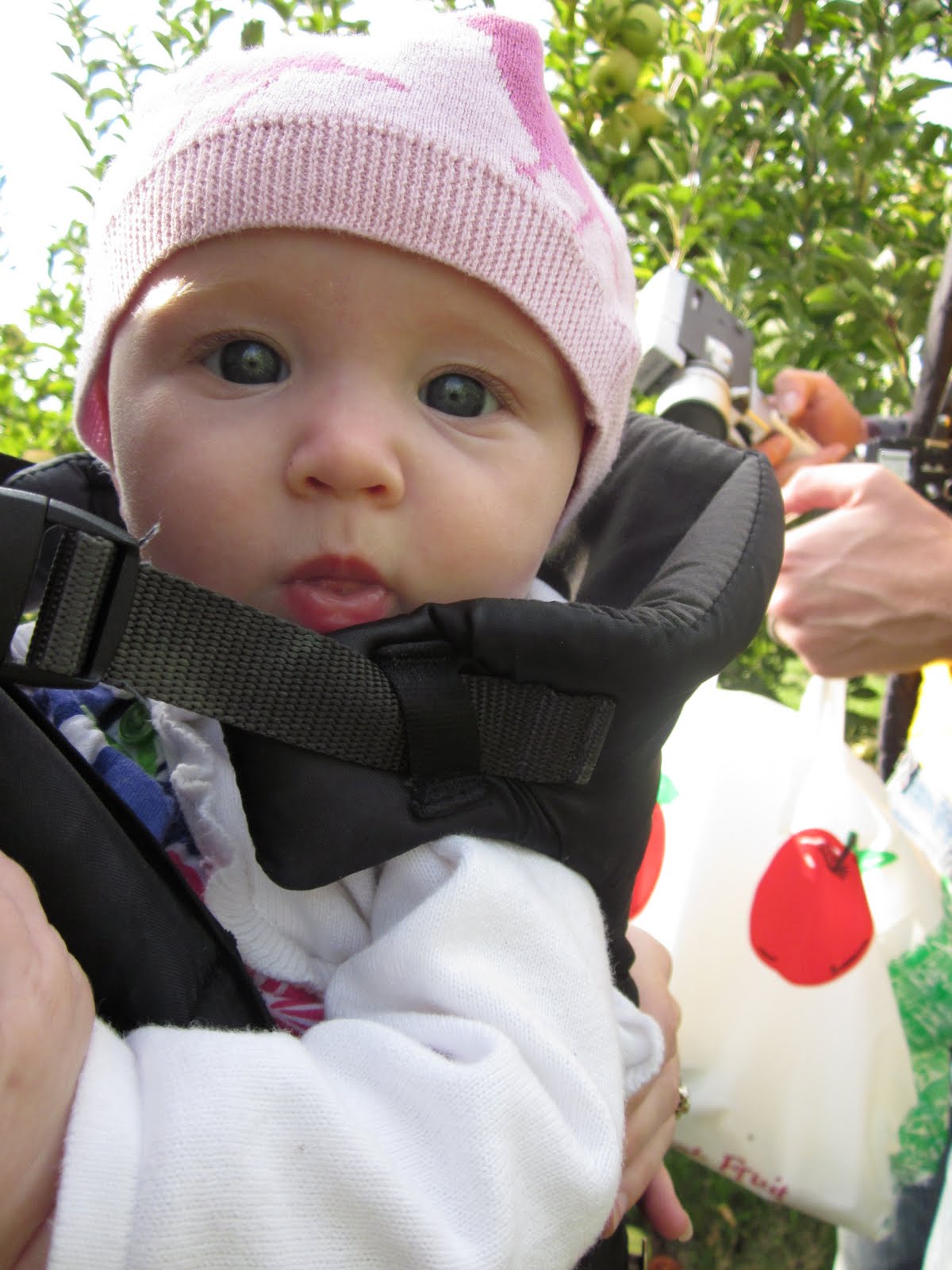 Here Comes Baby Foley!