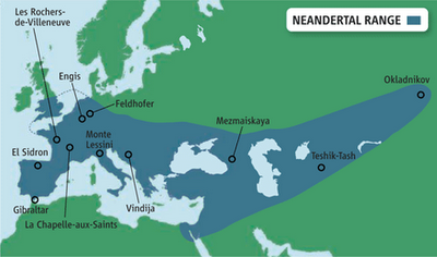 Educa: El hombre de Neanderthal