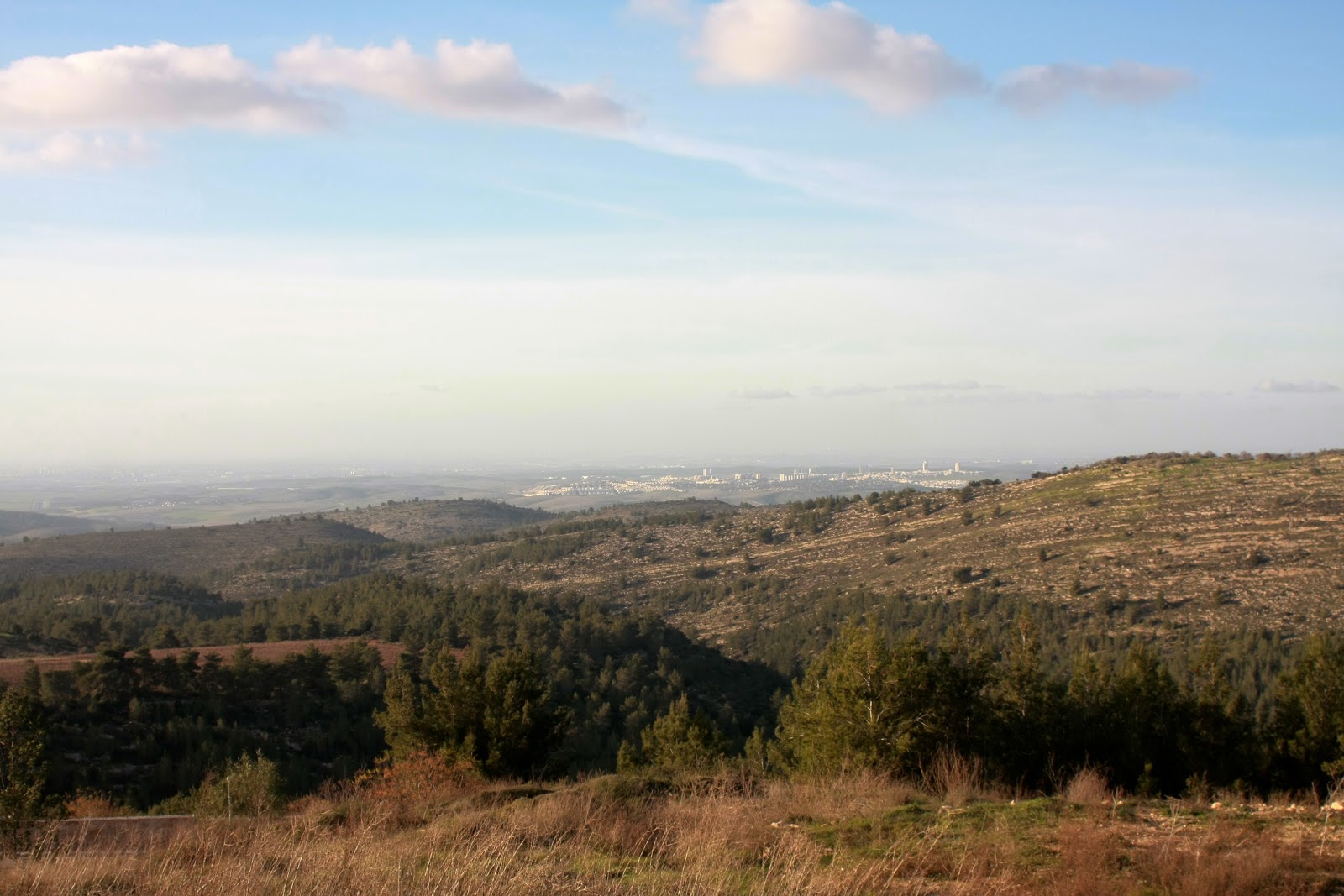 Four Months in the Promise Land: Hike to Neve Ilan