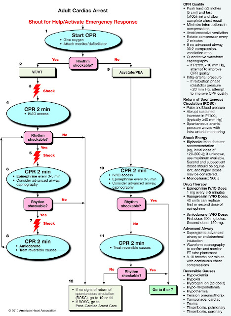 Algoritma Henti Jantung ACLS - JANTUNG OKE