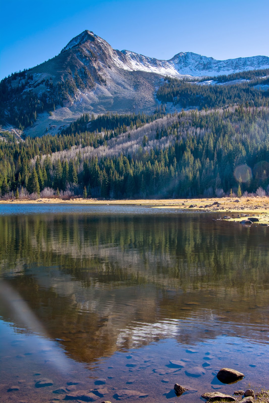 A Tree Falling: Three Lakes Loop