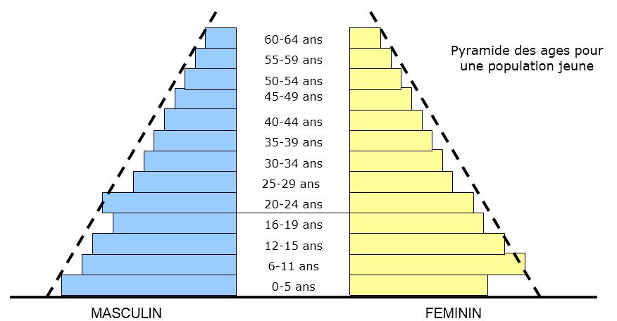 Cours 3 Urbanisme Laghouat: la population et sa structure - ArchiGuelma