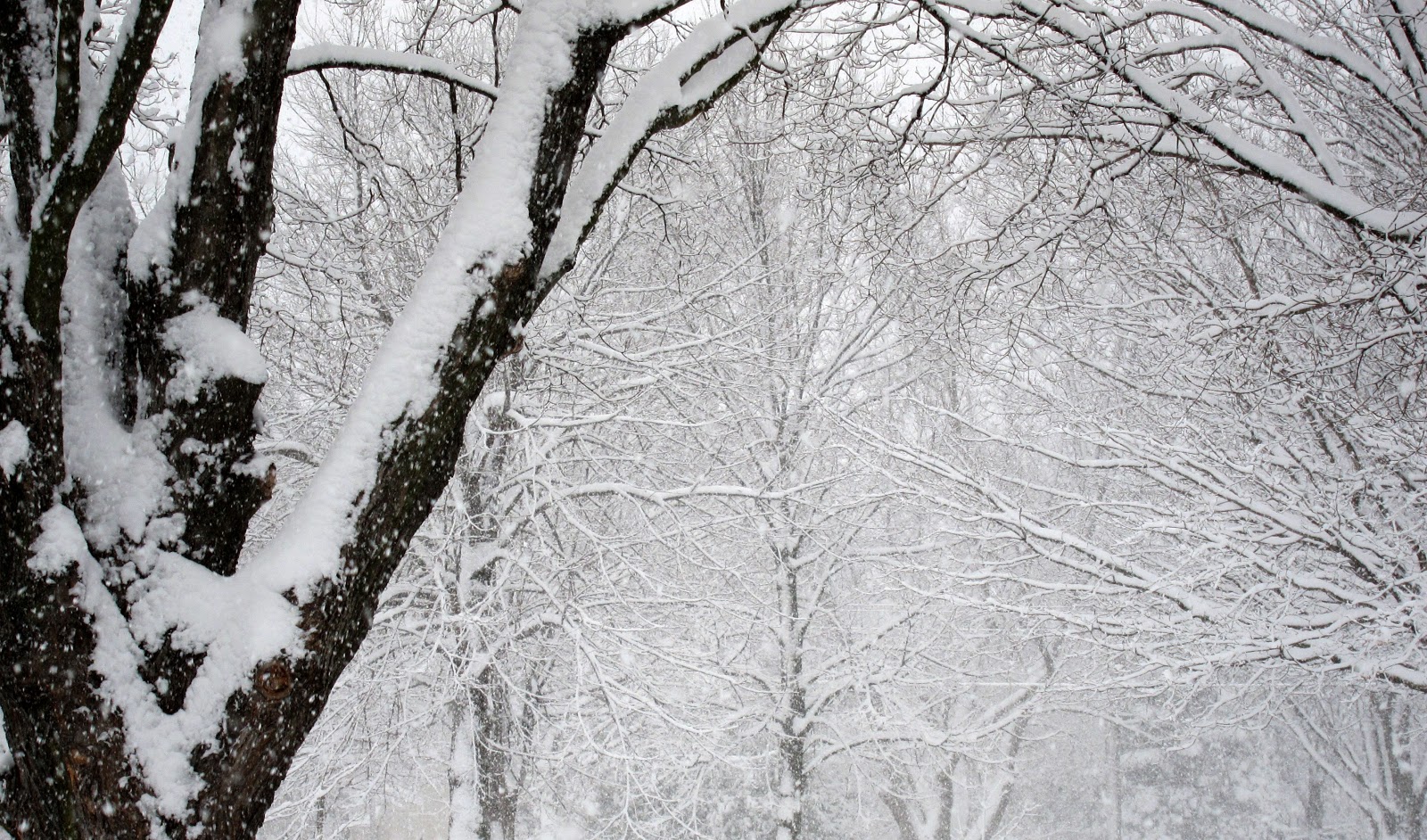 real economics: It's finally snowing