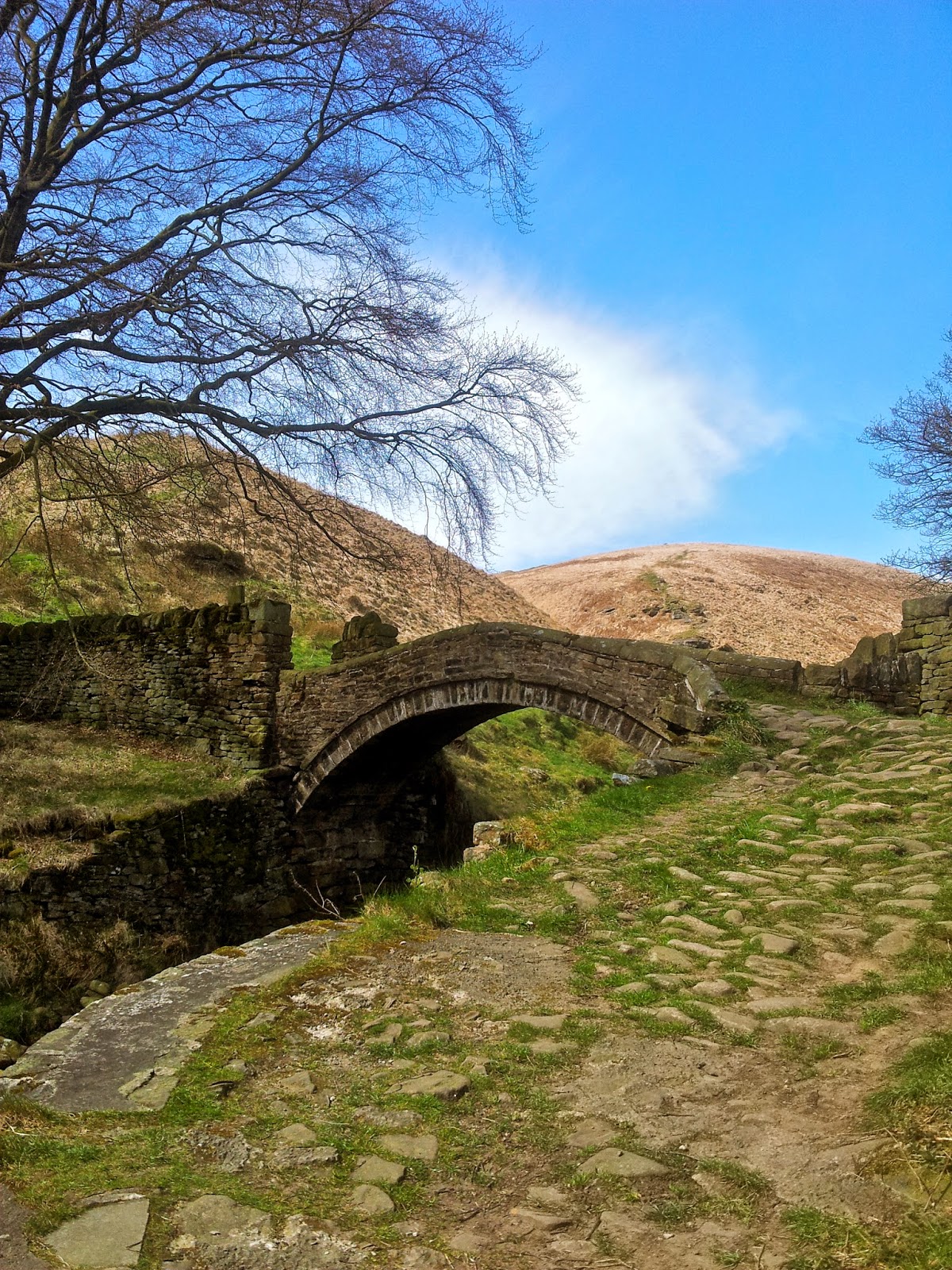 Odiferess: Review: Clinique Wrappings, Oxygen Bottled